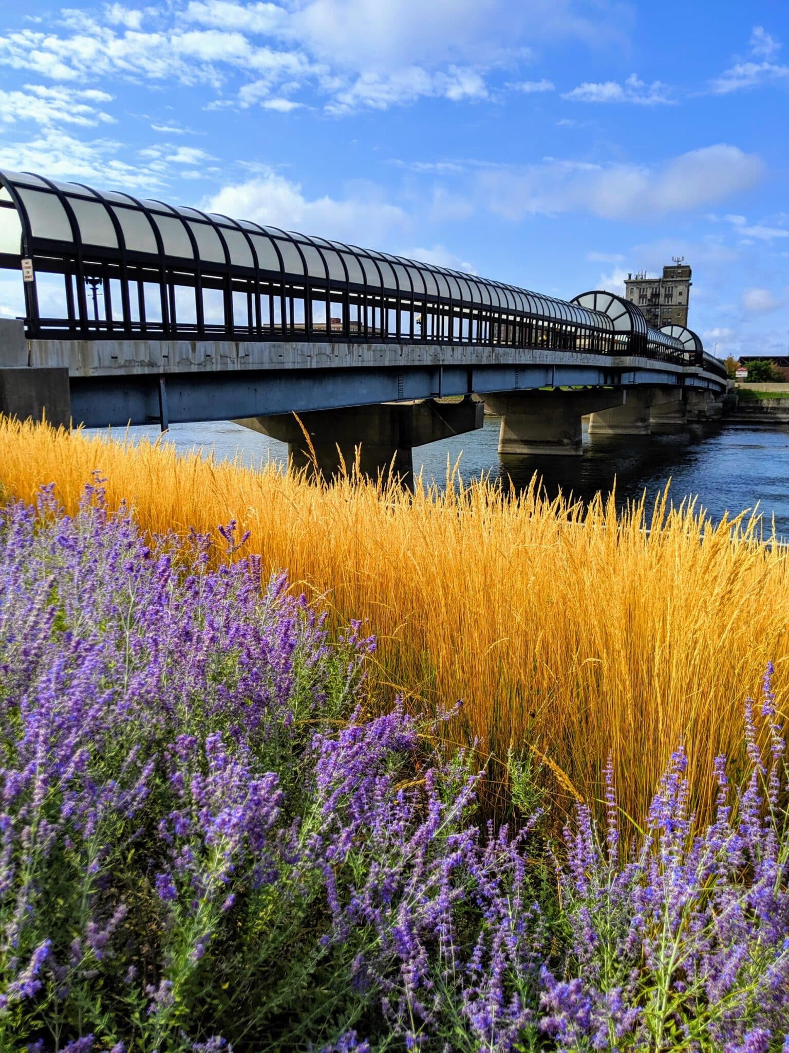 TRS Healthcare | Healthcare Staffing Company