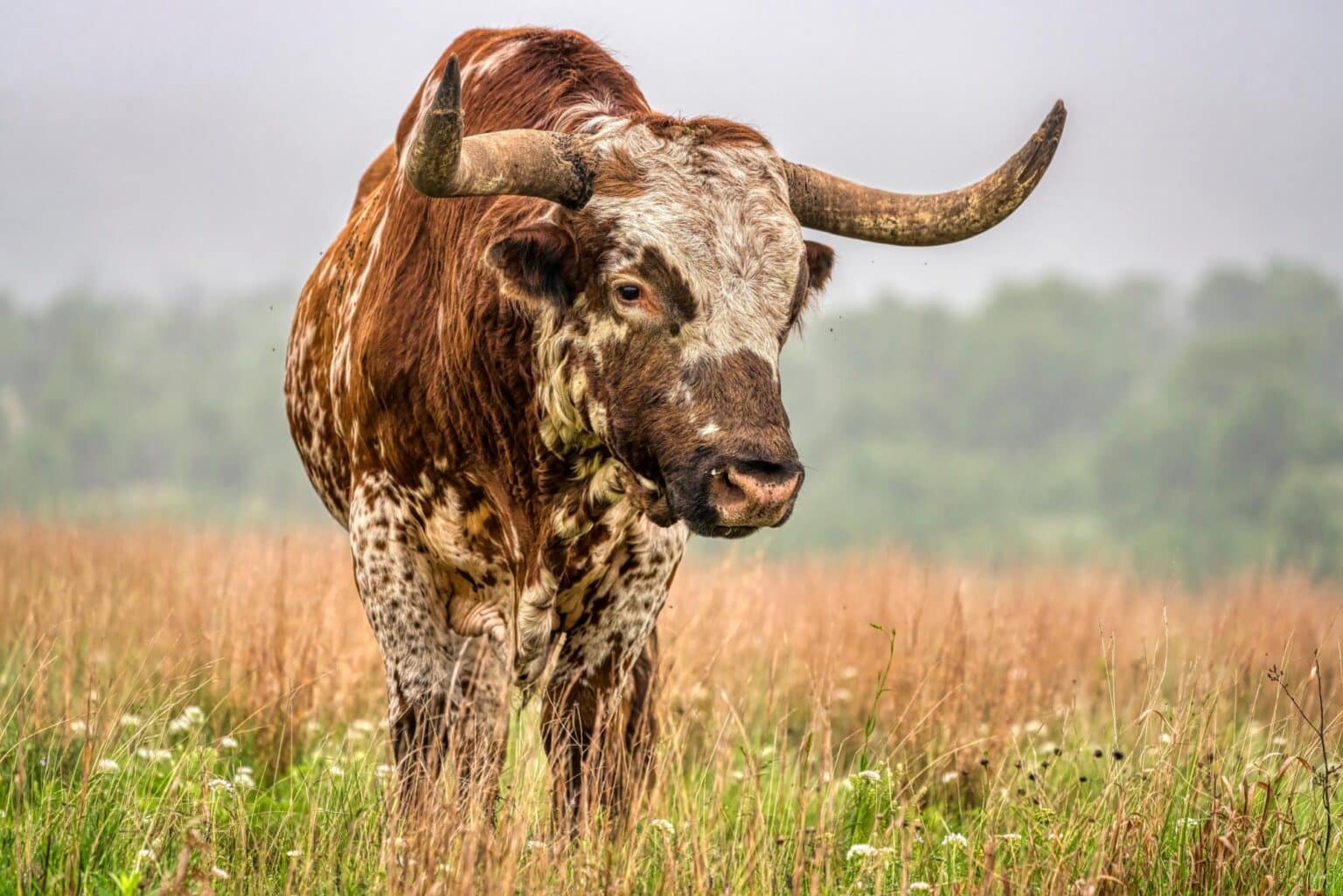 TRS Healthcare | Healthcare Staffing Company